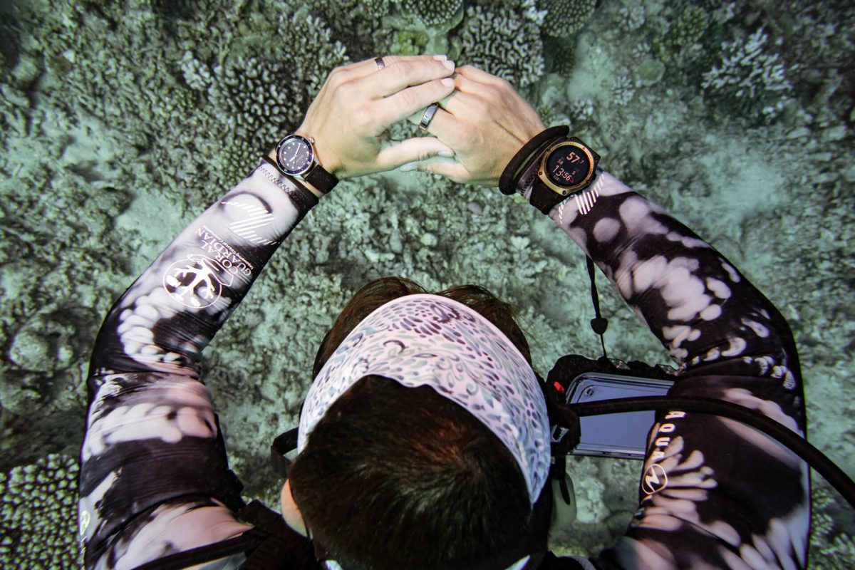 Shearwater Teric 55mm Dive Computer Review - Watch Clicker